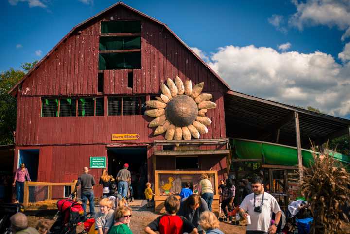 'Our Beloved Barn Burned Down:' Massive Fire Destroys Popular Farm ...