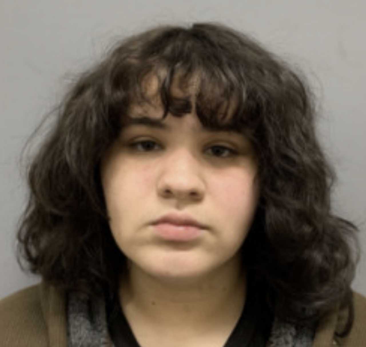 Lititz Teens Charged After Student Beaten At Warwick High School ...