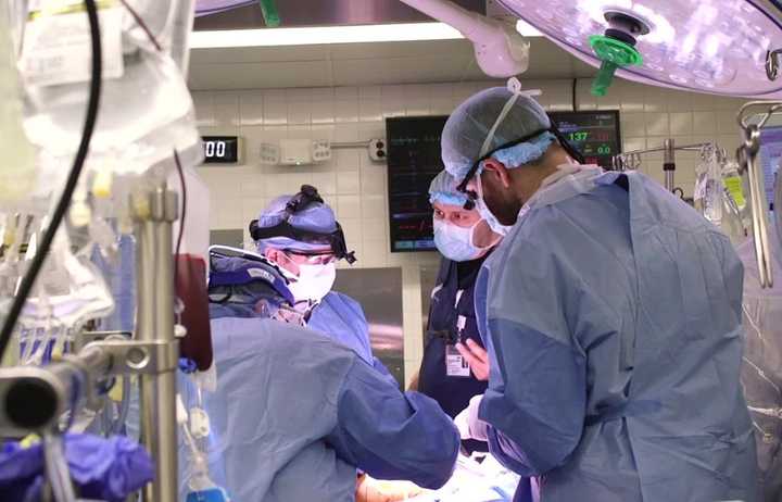 'I Came Back To Life': First-Ever Triple Organ Transplant On LI Marks ...