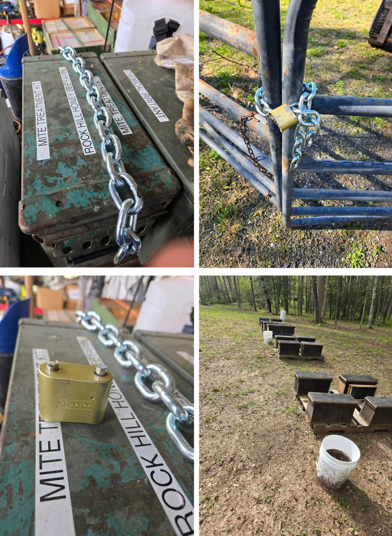 Thousands Of Bees Killed After Suspect Chains Gate, Poisons Hives At ...