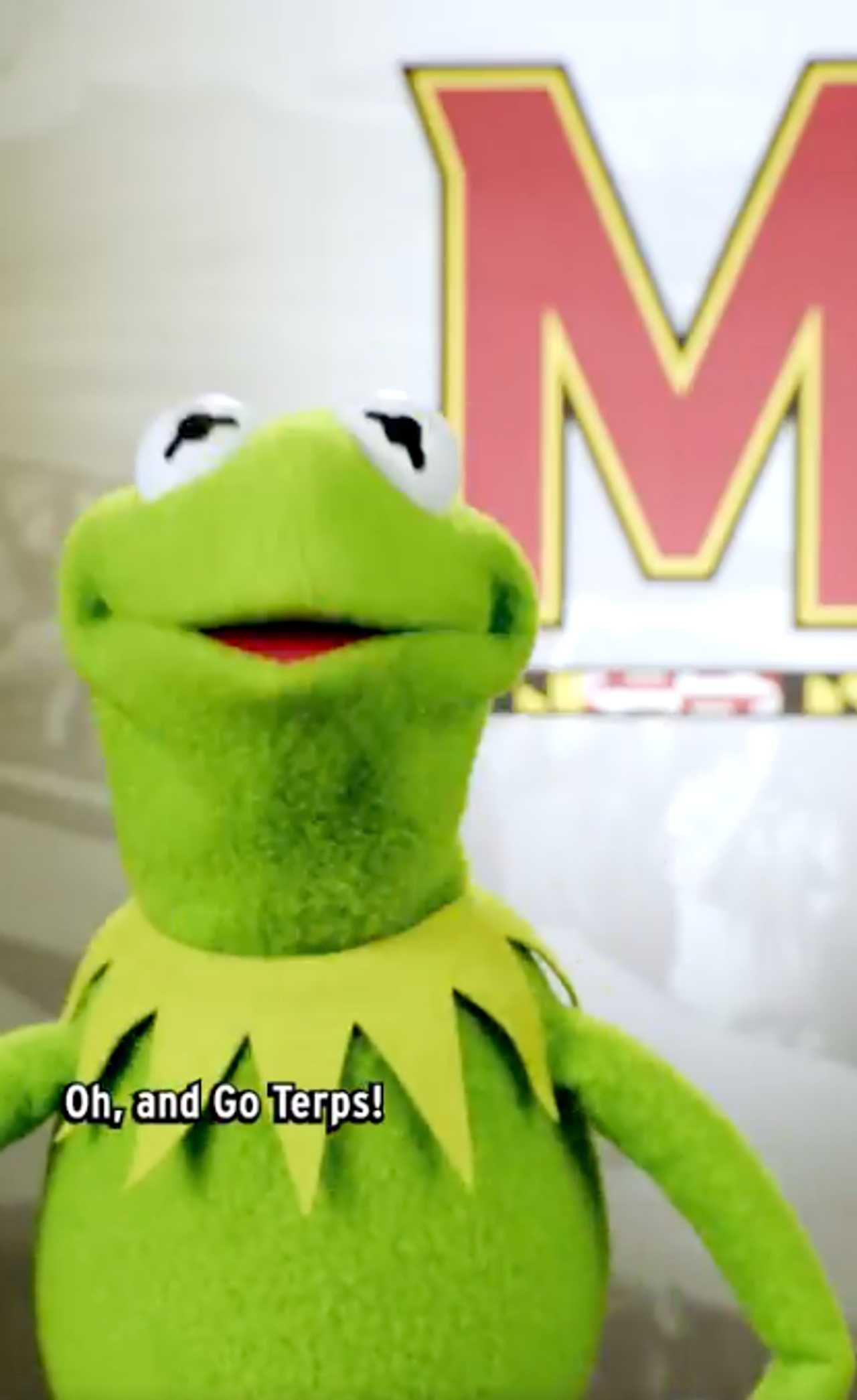 Frog Of Honor: Kermit Leads UMD’s Class Of 2025 Sendoff | College Park ...