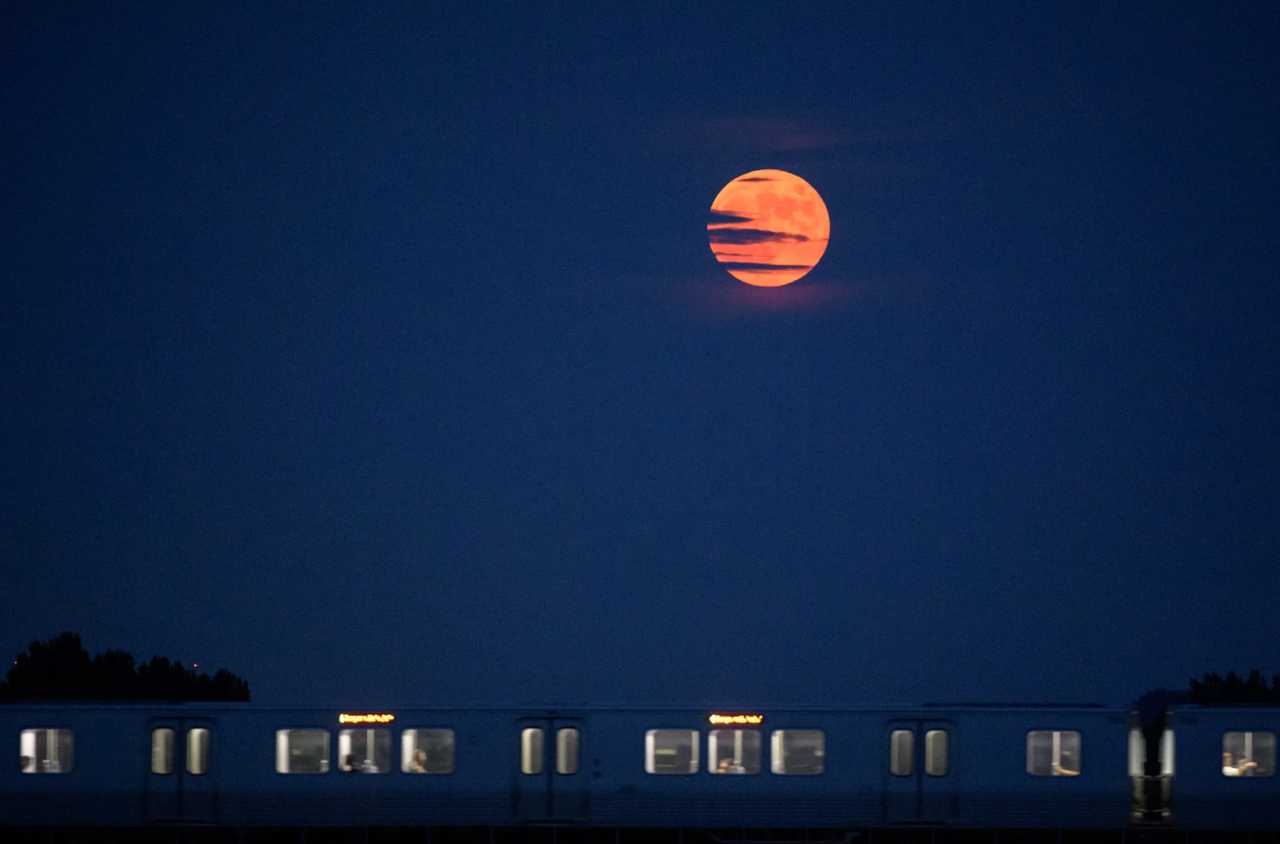 Lunar Standstill Brings Rare Strawberry Moon: Here's When, What It ...