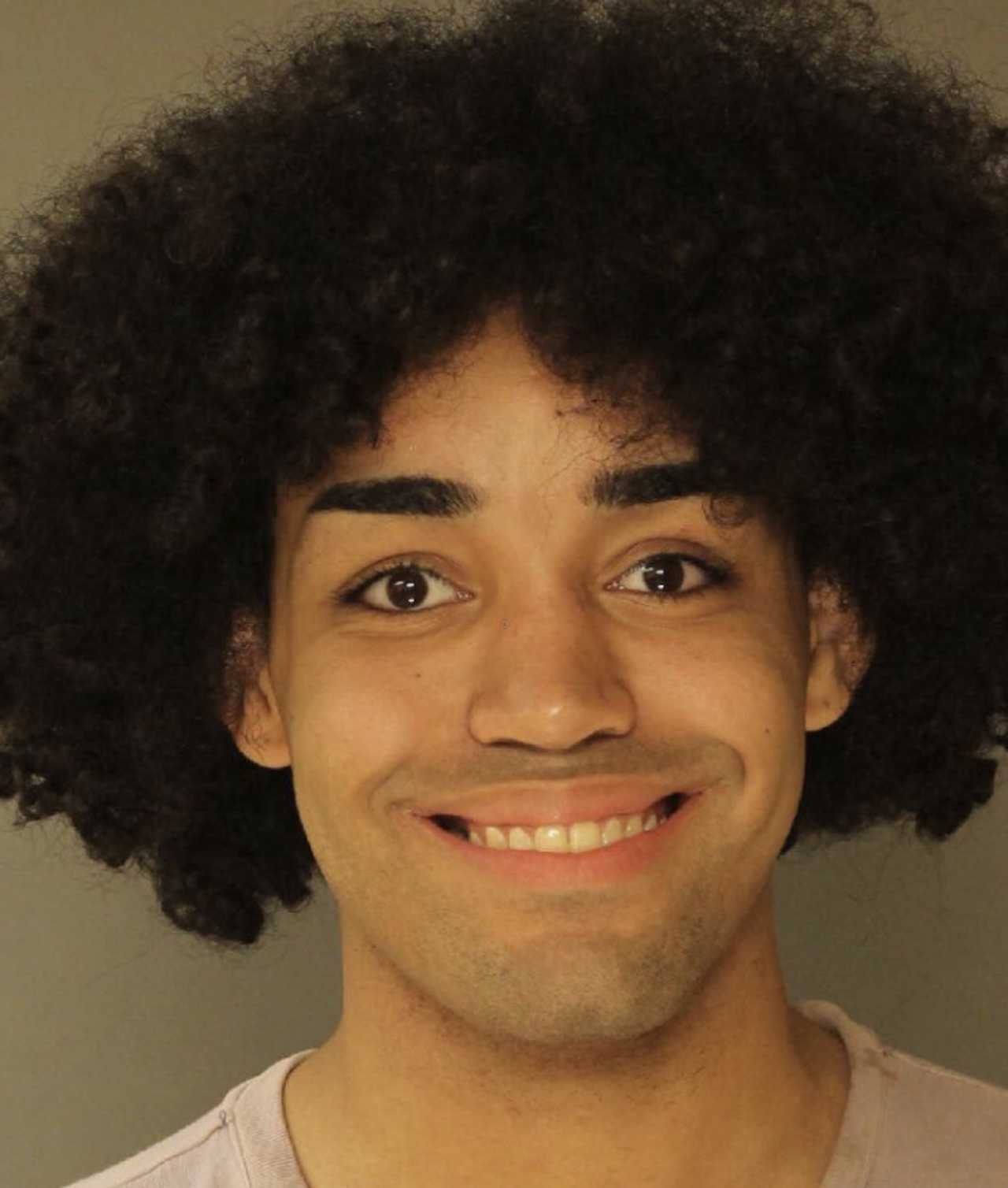 Guns Stolen As Masked Man Breaks Into Manheim Township Home While Victim Sleeps: DA | Manheim ...