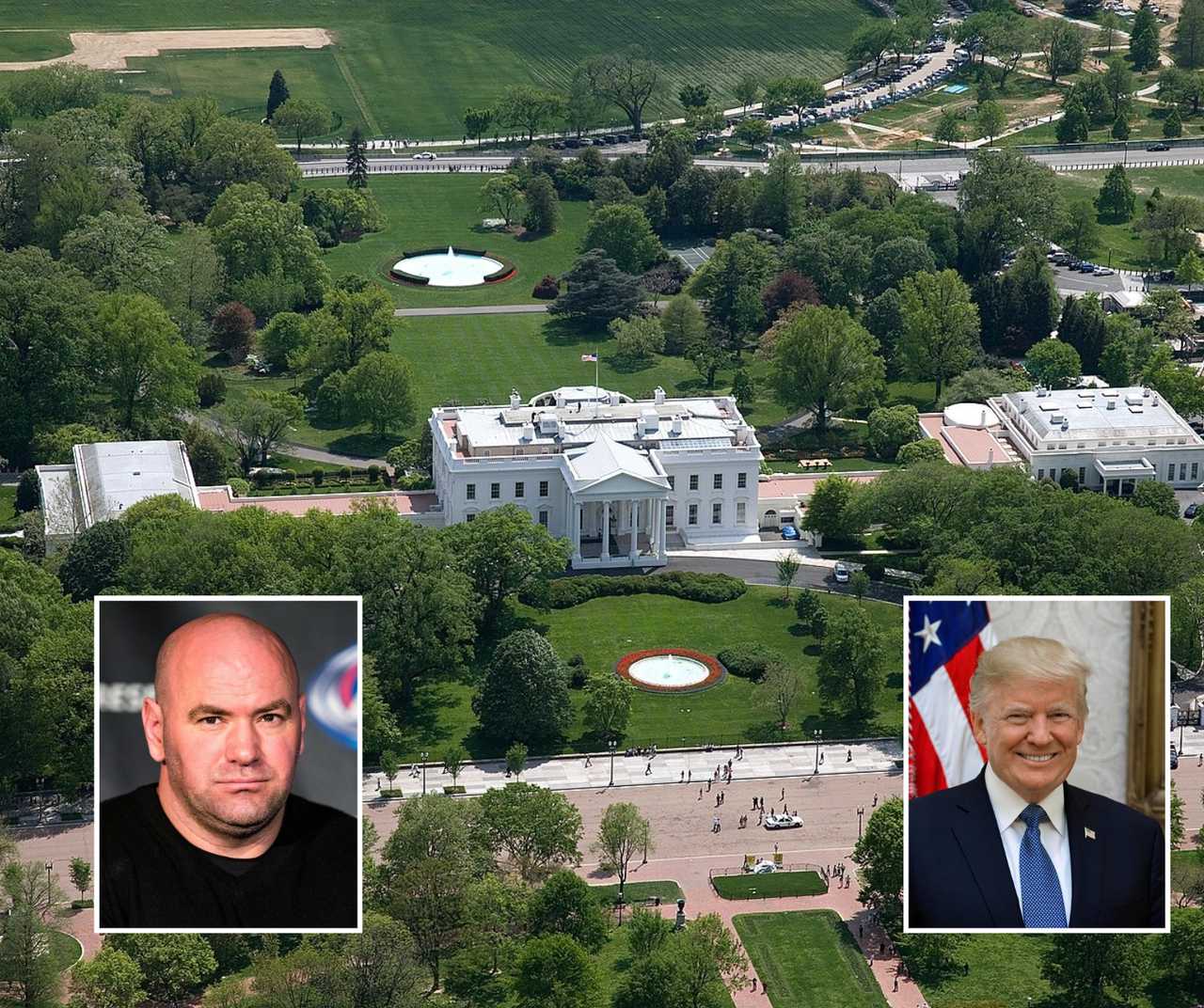 Trump Wants UFC Cage Fight On White House Lawn For America’s 250th ...