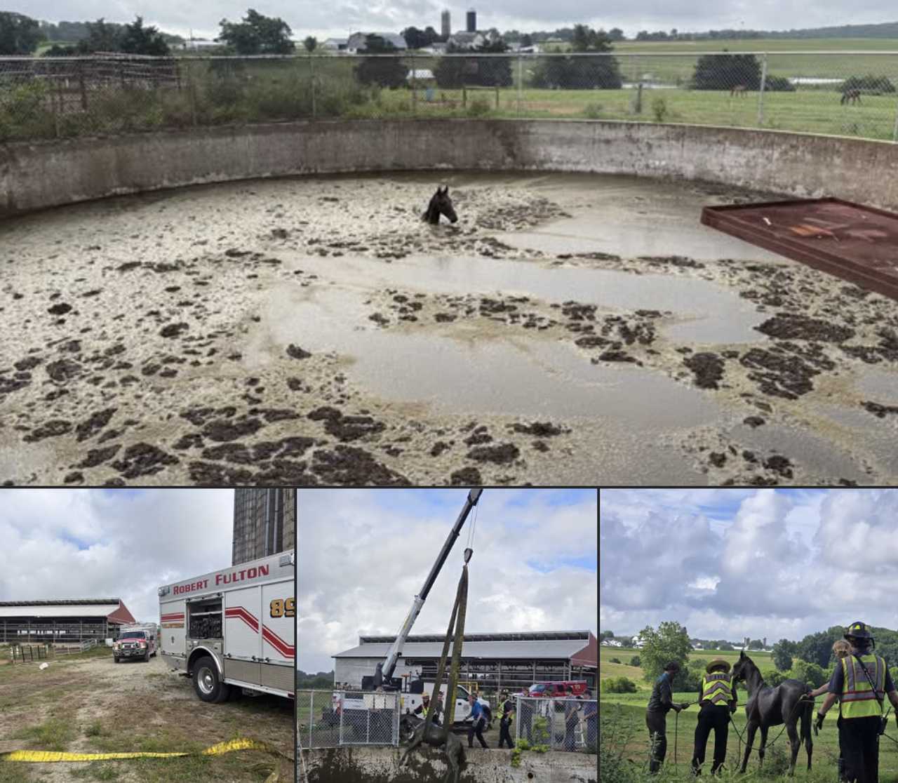 Horse Rescued From Manure Pit In Lancaster County After Fire Company’s ...