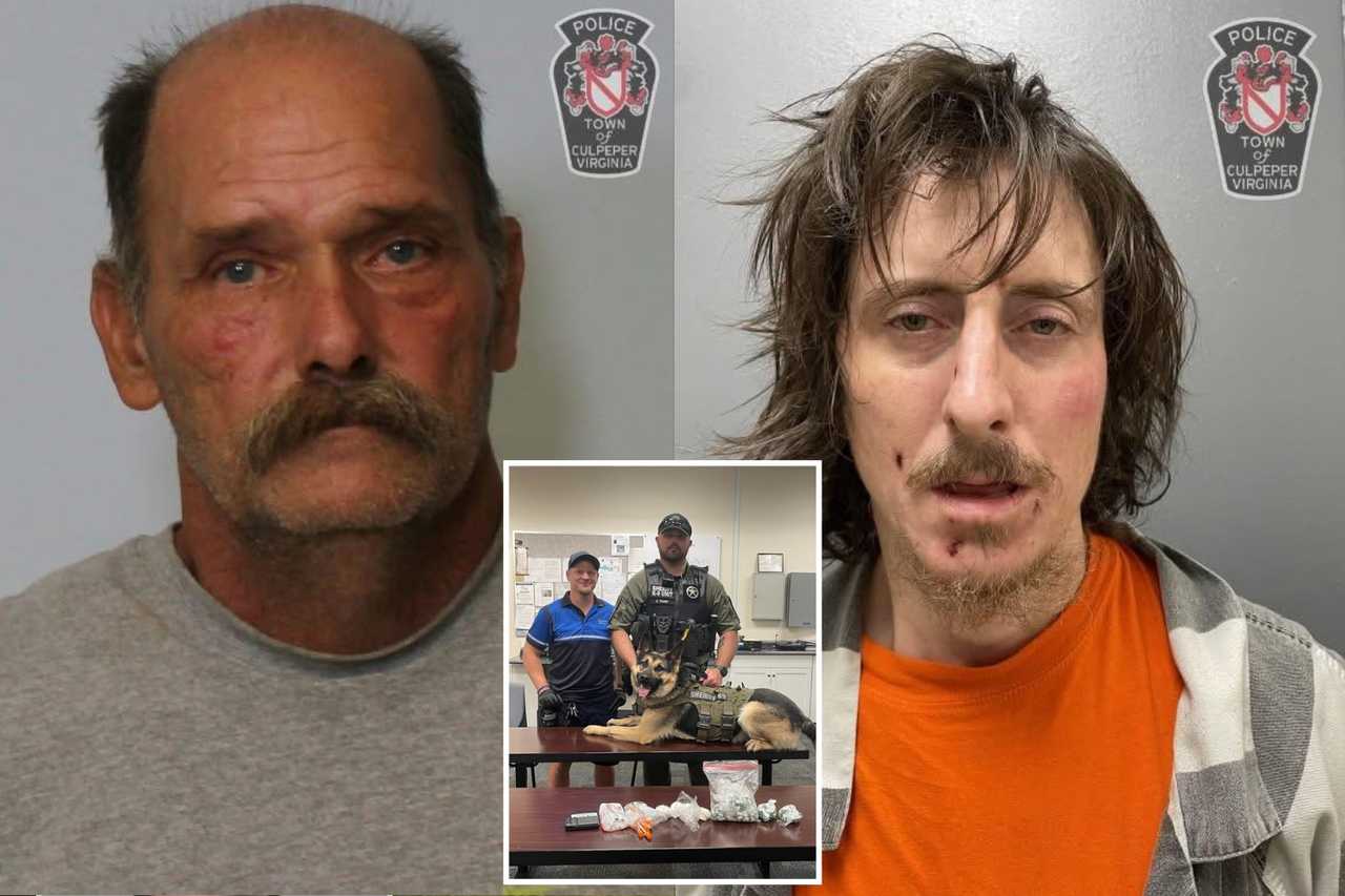 K9 Sniffs Out Fentanyl, Cocaine In Virginia Traffic Stop After Maryland ...