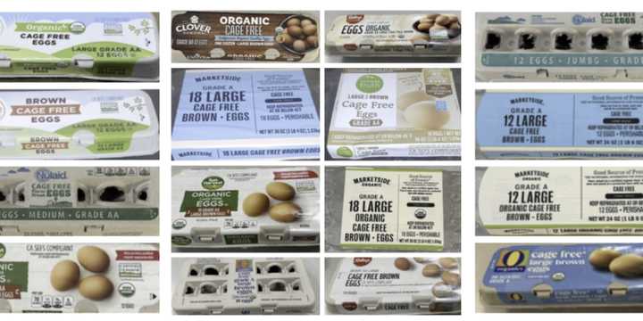 NJ Recall Linked To Deadly Salmonella Egg Outbreak Tied To CA Supplier ...