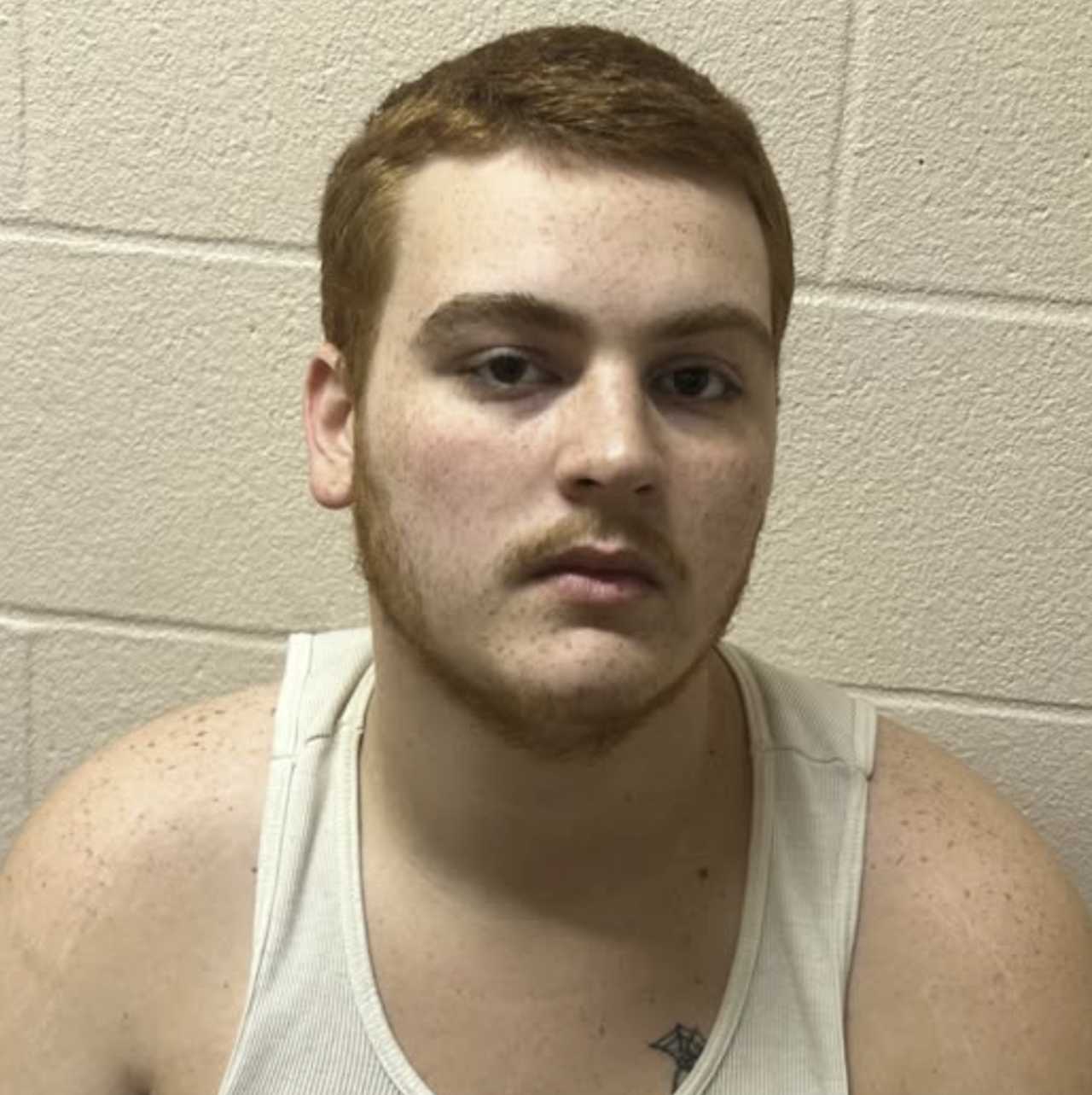 PA Teen Playing With Cat Using Gun Shoots Himself, Police Say ...