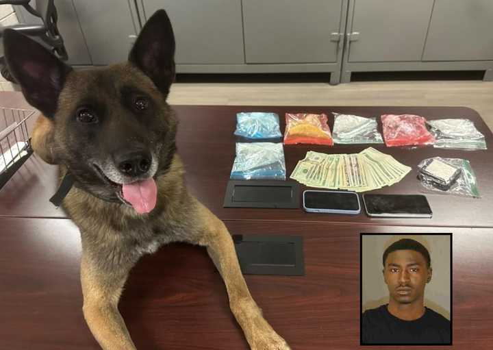 K9 Sniffs Out 13 Ounces Of Cocaine During Traffic Stop In DMV: Sheriff ...