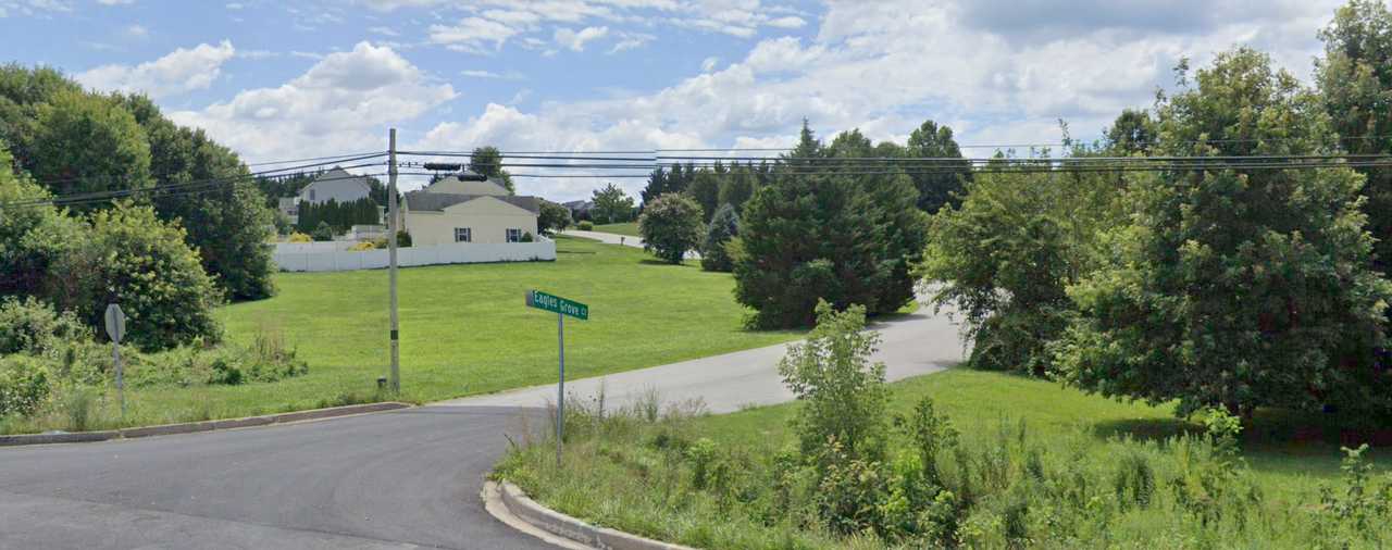 44 Dogs Found In ‘Inhumane’ Conditions At Property In DMV, Sheriff Says ...