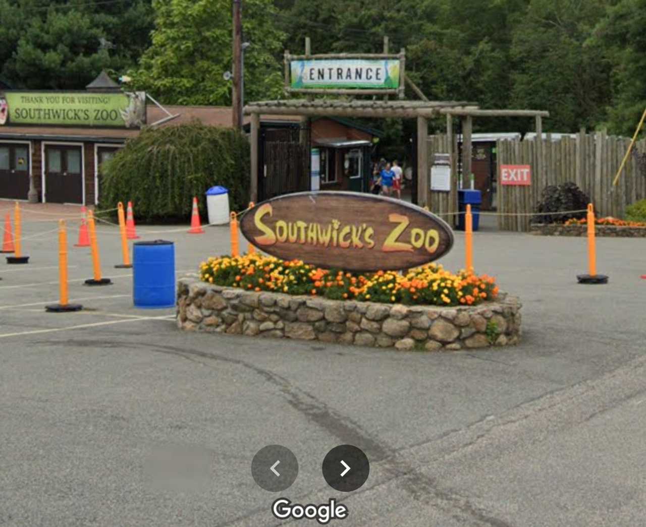 It’s A Bird! It’s A Plane! Nope, It’s A Stuck Mass Zoo Ride That Left ...