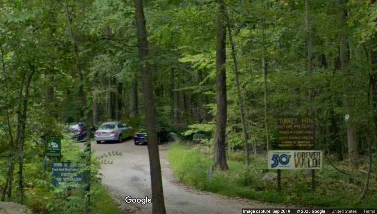 Swastika Found Carved Into Tree At Nature Preserve In Yorktown ...