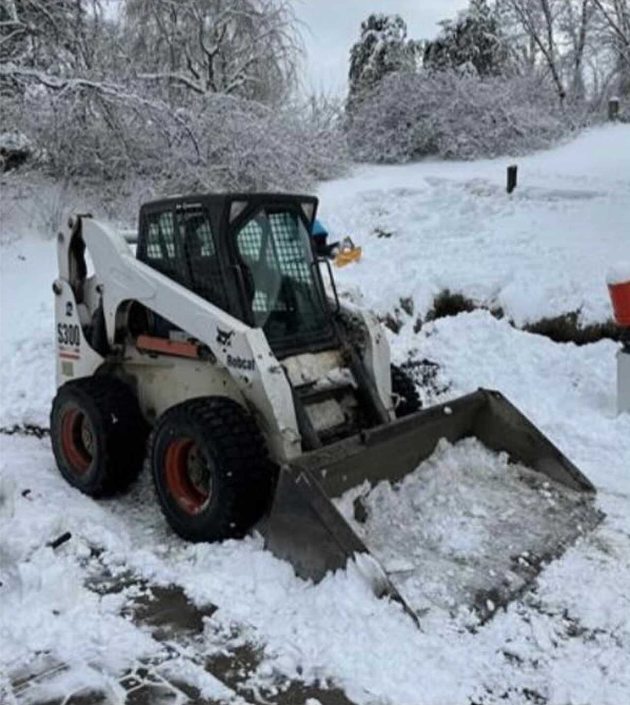 Bobcat Stolen From Construction Site In Beekman: Sheriff Looking For ...