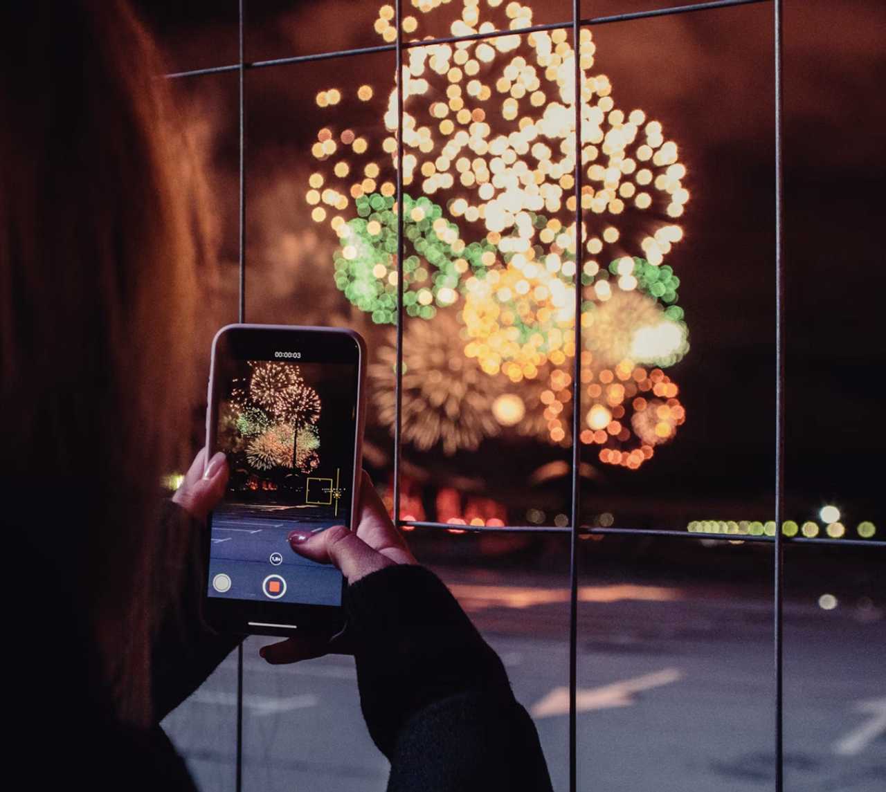 Animals Blown Up With Fireworks In Pennsylvania, Videos Posted On ...