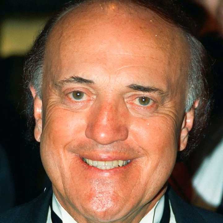 Peter Arnett Dies: Fearless TV Reporter Who Broadcast From Baghdad ...