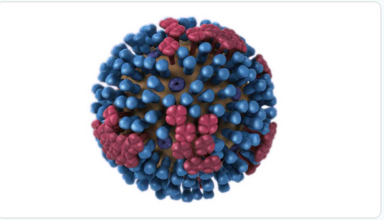 Putnam County Leads NYS In Flu Cases: Health Officials Urge Vaccination ...