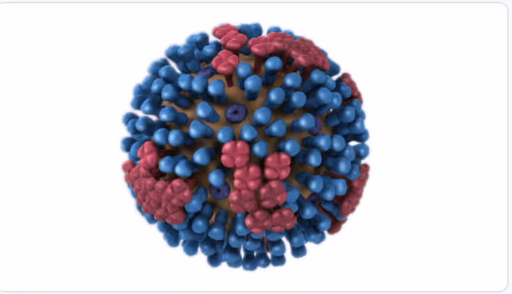 Doctors Sound Alarm As 'Super Flu' Variant Spreads Across US: What Is ...