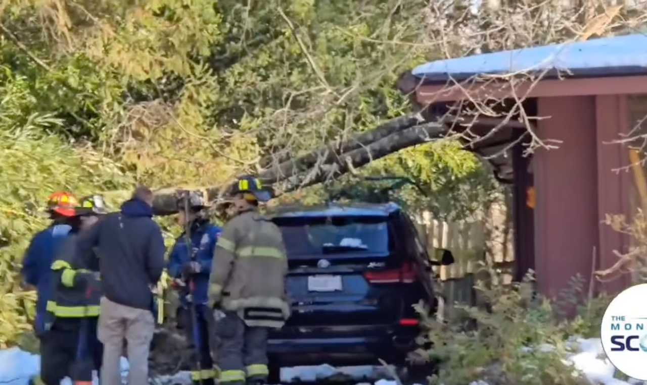 Tree Falls On House In Hudson Valley On Christmas Eve | Peekskill Daily ...