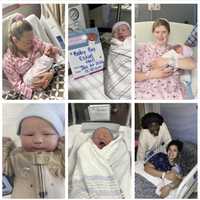 Harrisburg Daily Voice | Your Local News for Harrisburg, Pennsylvania