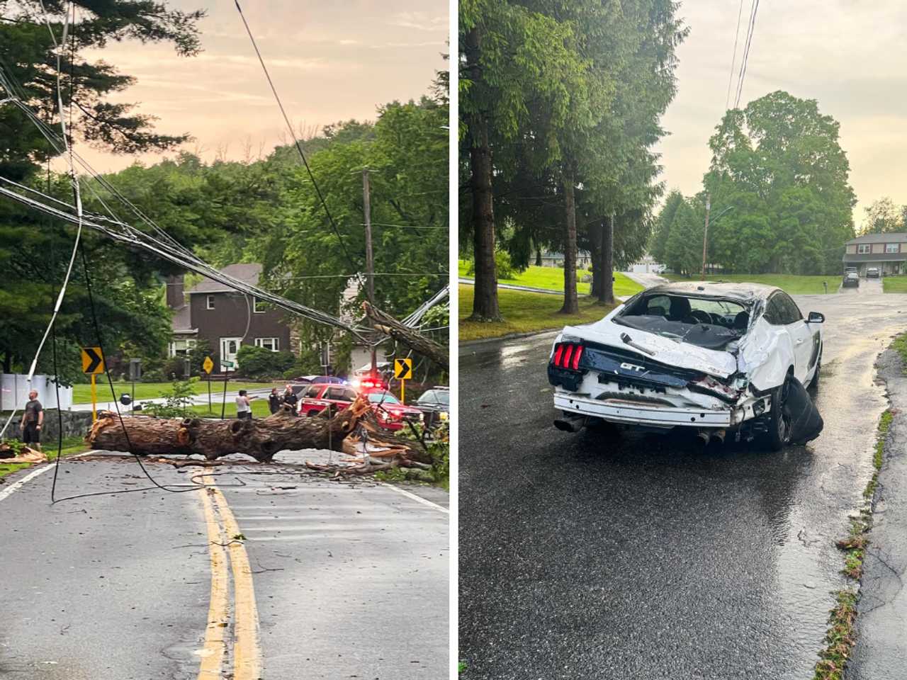 Lightning Strike Causes Tree To Fall On Car In Hudson Valley | East ...