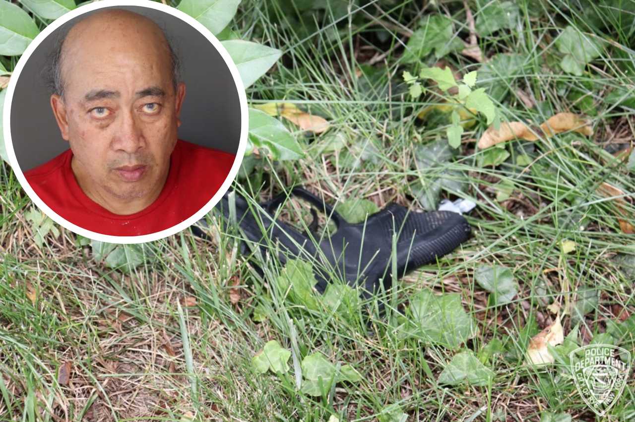 Road Rage: Man Pulls Pellet Gun On Driver, Throws It Near Sidewalk In ...