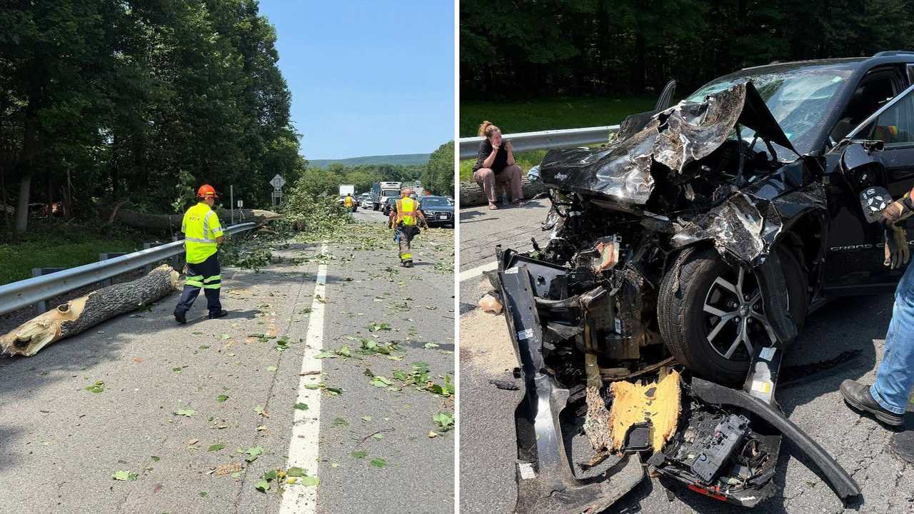 Tree Falls Onto I-87 In NY, Causes Crash | Red Hook Daily Voice