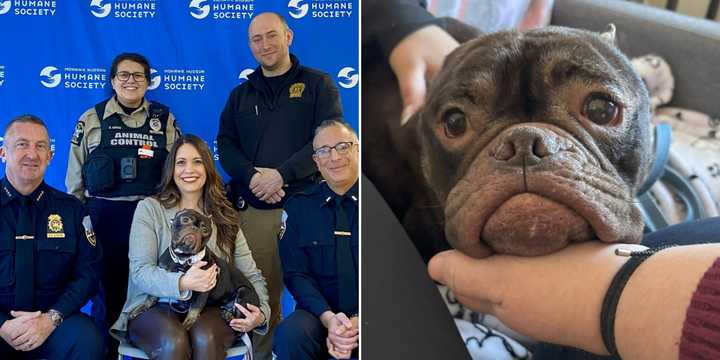 ‘Lavender’ The Dog Reunites With Rescuers Weeks After 'Unimaginable ...