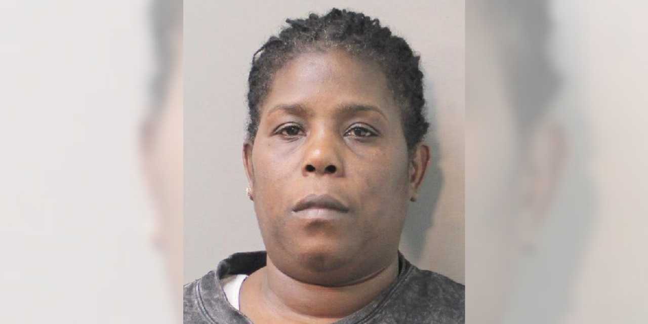 Mugshot: Driver Dragged Cop, Nearly Hit Pedestrian Fleeing Valley ...