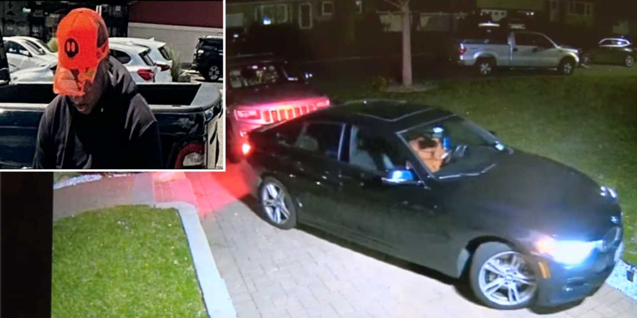 Car Theft Ring: 13 Gang Members Stole Dozens Of Cars, Credit Cards In ...