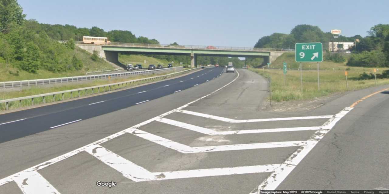 Woman, Puppy Killed In Single-Vehicle Highway Crash In Region ...