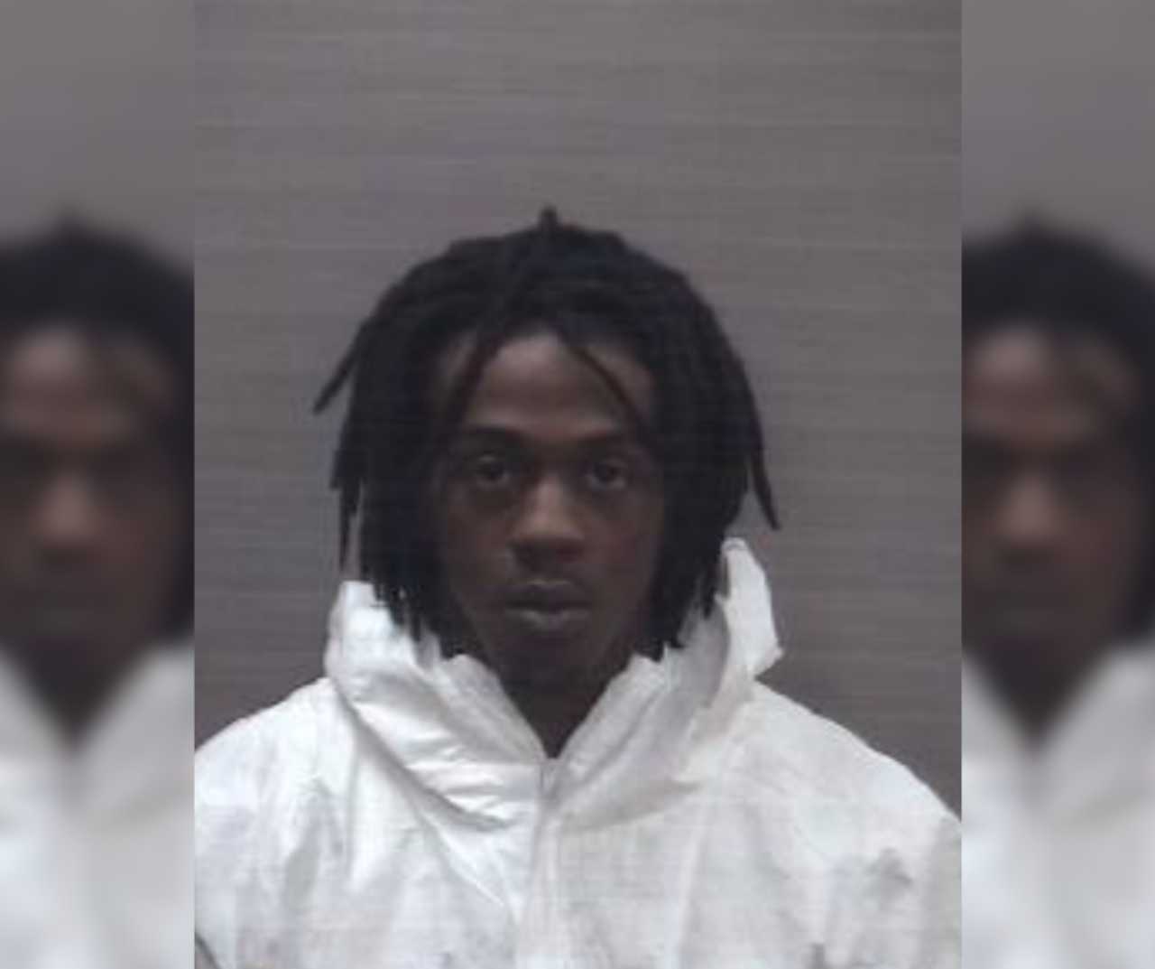 Police Dog Helps Foil CT Home Invasion, Capture Suspects After High ...