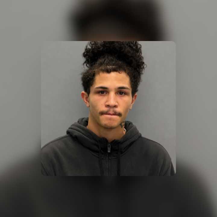 Teen Busted Hiding In Yard After Ditching Stolen Car Carrying Armor ...