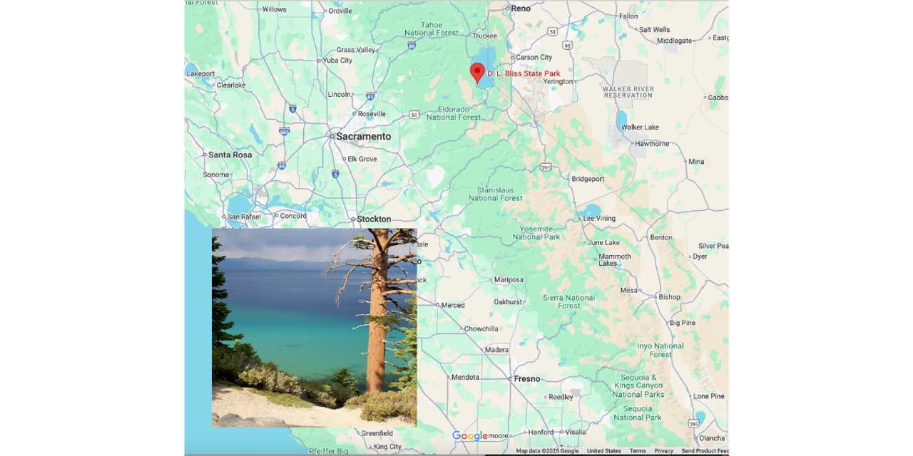 37-Year-Old DoorDash Exec, Both Parents Among 8 Killed In Lake Tahoe ...