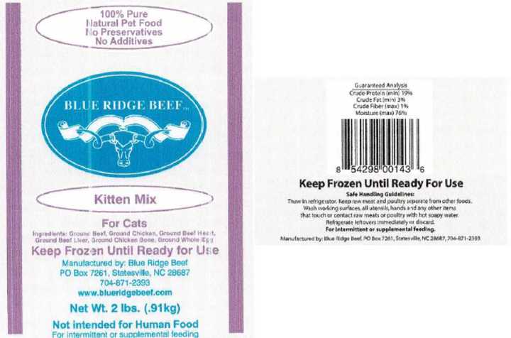 Raw Kitten Food Sold In CT Recalled Due To Salmonella Contamination ...