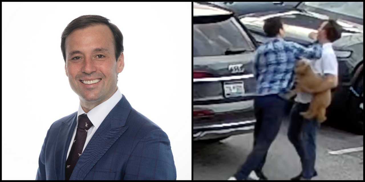 Uber Driver Knocks Biotech CEO Unconscious Over Service Dog, Lawsuit ...