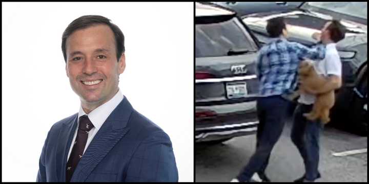 Uber Driver Knocks Biotech CEO Unconscious Over Service Dog, Lawsuit ...