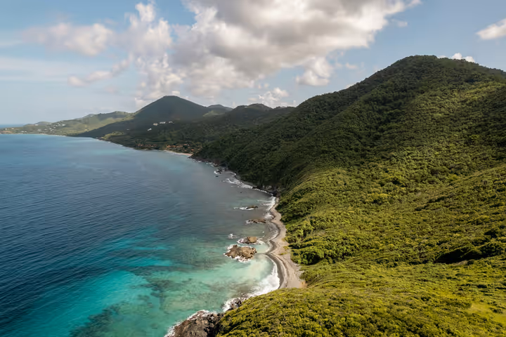 Shark Kills Woman, Rescuers Describe Chaotic Scene In US Virgin Islands ...