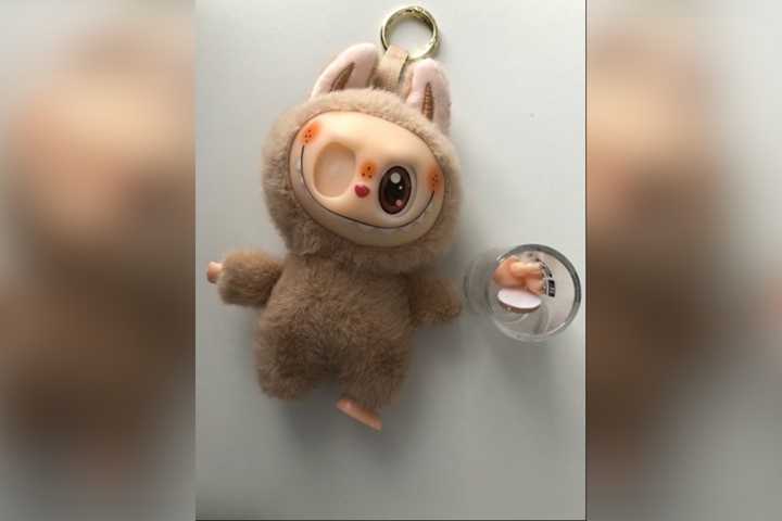 Deadly Choking Risks In Fake Labubu Dolls Spark 'Urgent Safety Warning ...