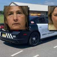 Crazy Rescue Ladies Inc. | Little Egg Harbor Daily Voice