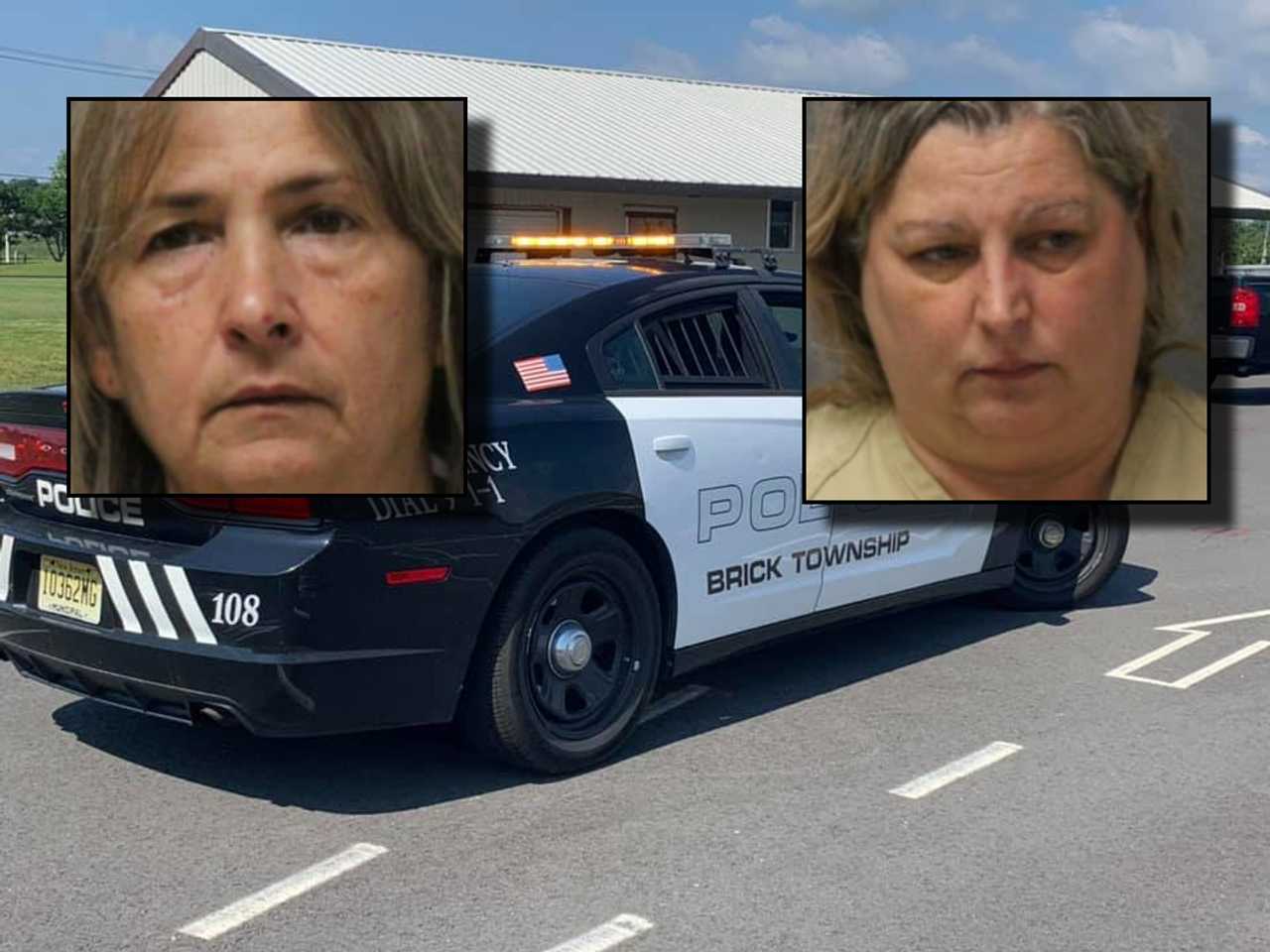 'Crazy Rescue Ladies' Plead Guilty After 170+ Pets Saved From ...