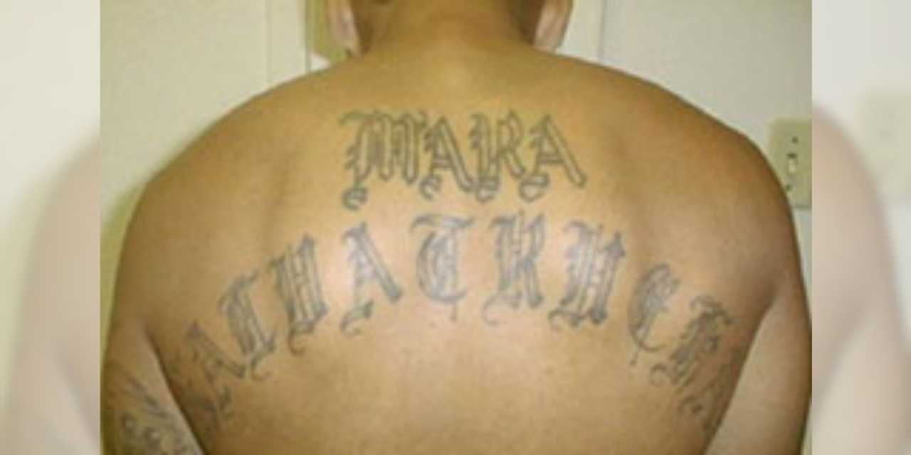 Machetes, Executions, Dismemberment: MS-13 National Leaders Convicted ...