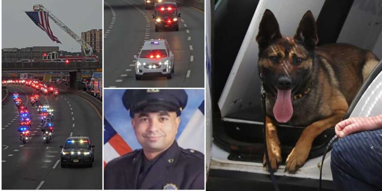 K-9 Attacks Bystander At Funeral For Slain Nypd Detective | Wayne Daily ...