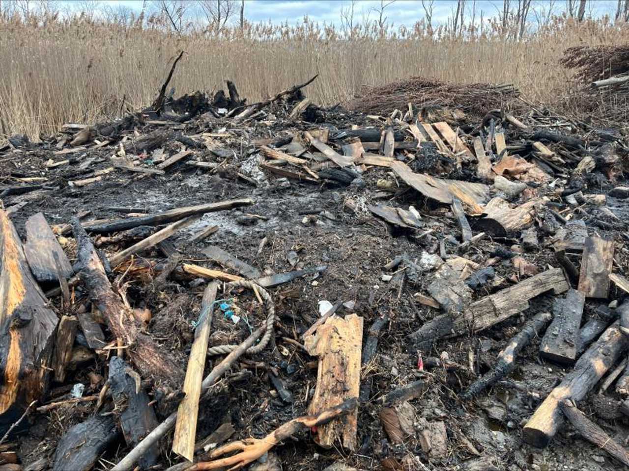 Violation Issued After Wildland Fire Goes Up Behind Patterson Business ...