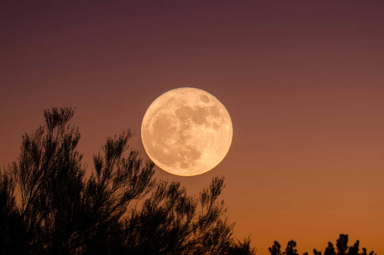 The Beaver Moon — Last Supermoon of 2024 — Will Dazzle Skywatchers Soon ...