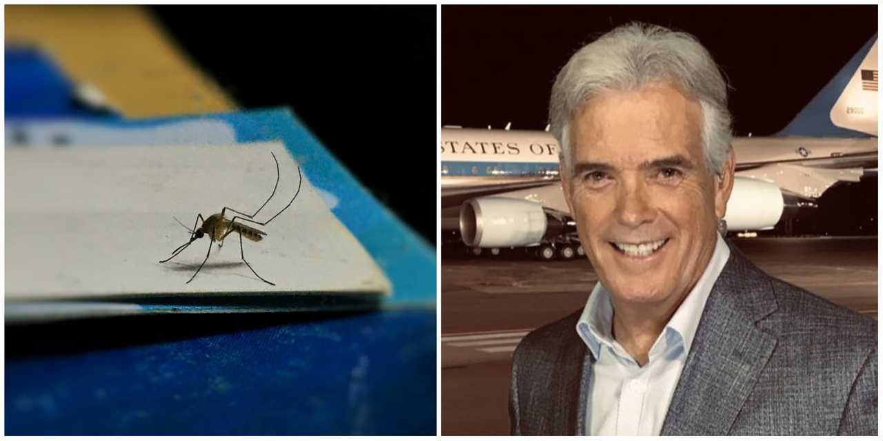 Fox News Anchor Hospitalized With 'Severe Case' Of Malaria | Groton ...