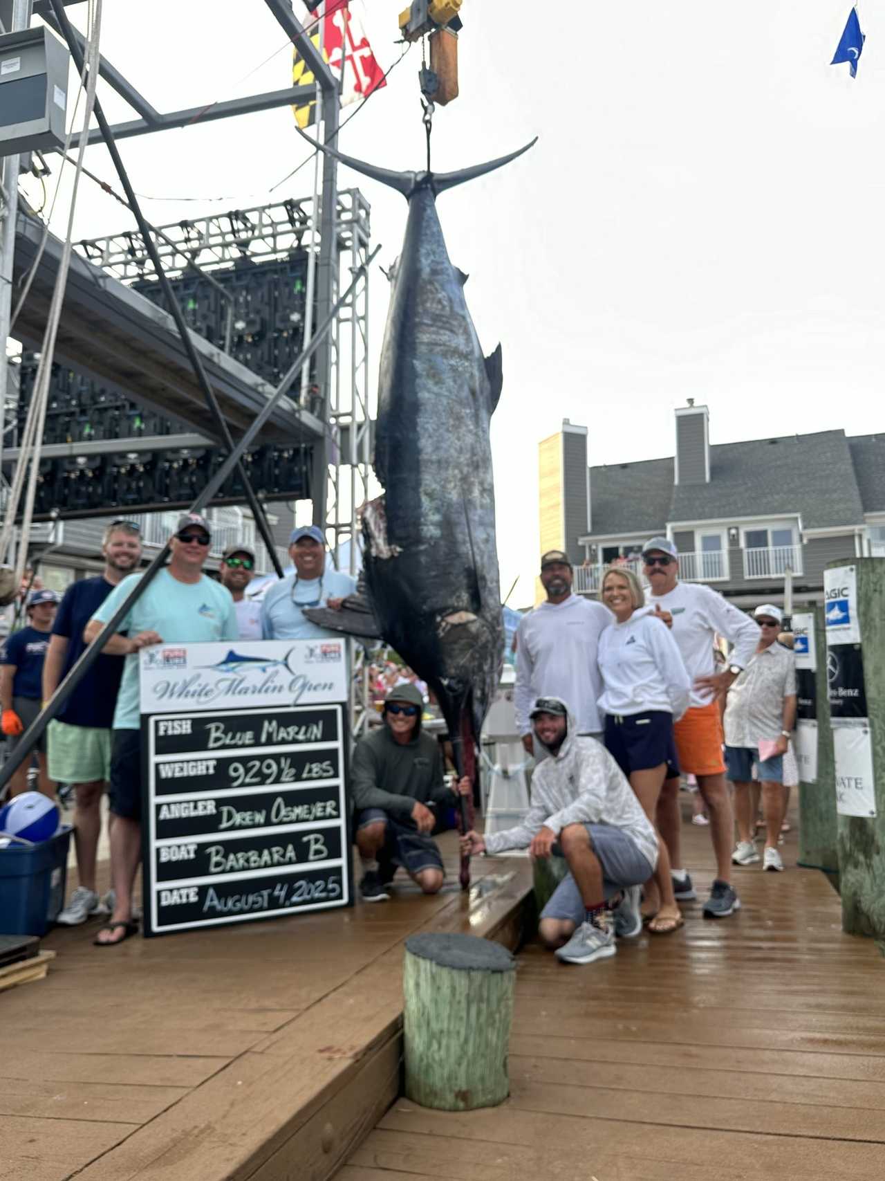 929‑Pound Monster Marlin Puts Timonium Angler in Million‑Dollar Club ...