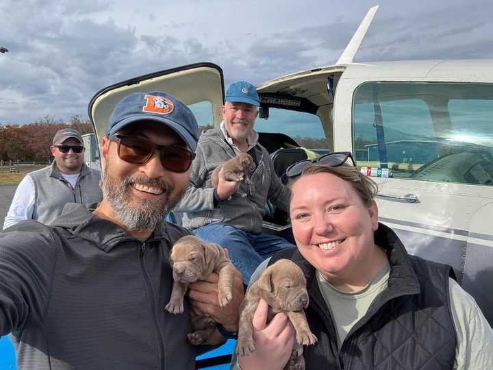 VA Pilot Known For Rescuing Dogs Killed In Plane Crash : 'A Friend To ...