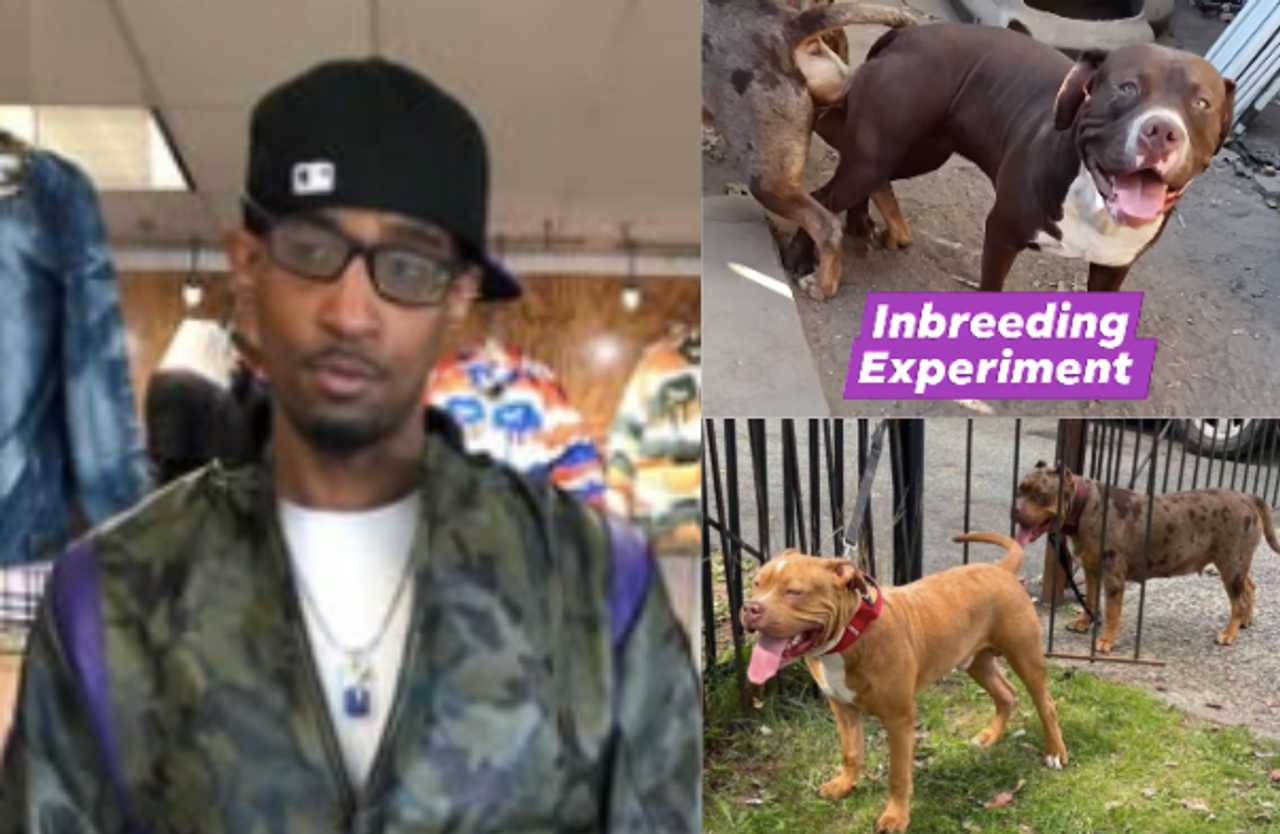 Cruel Newark Breeder Posted Videos Of Dogs Killing Hawk, Antagonizing ...