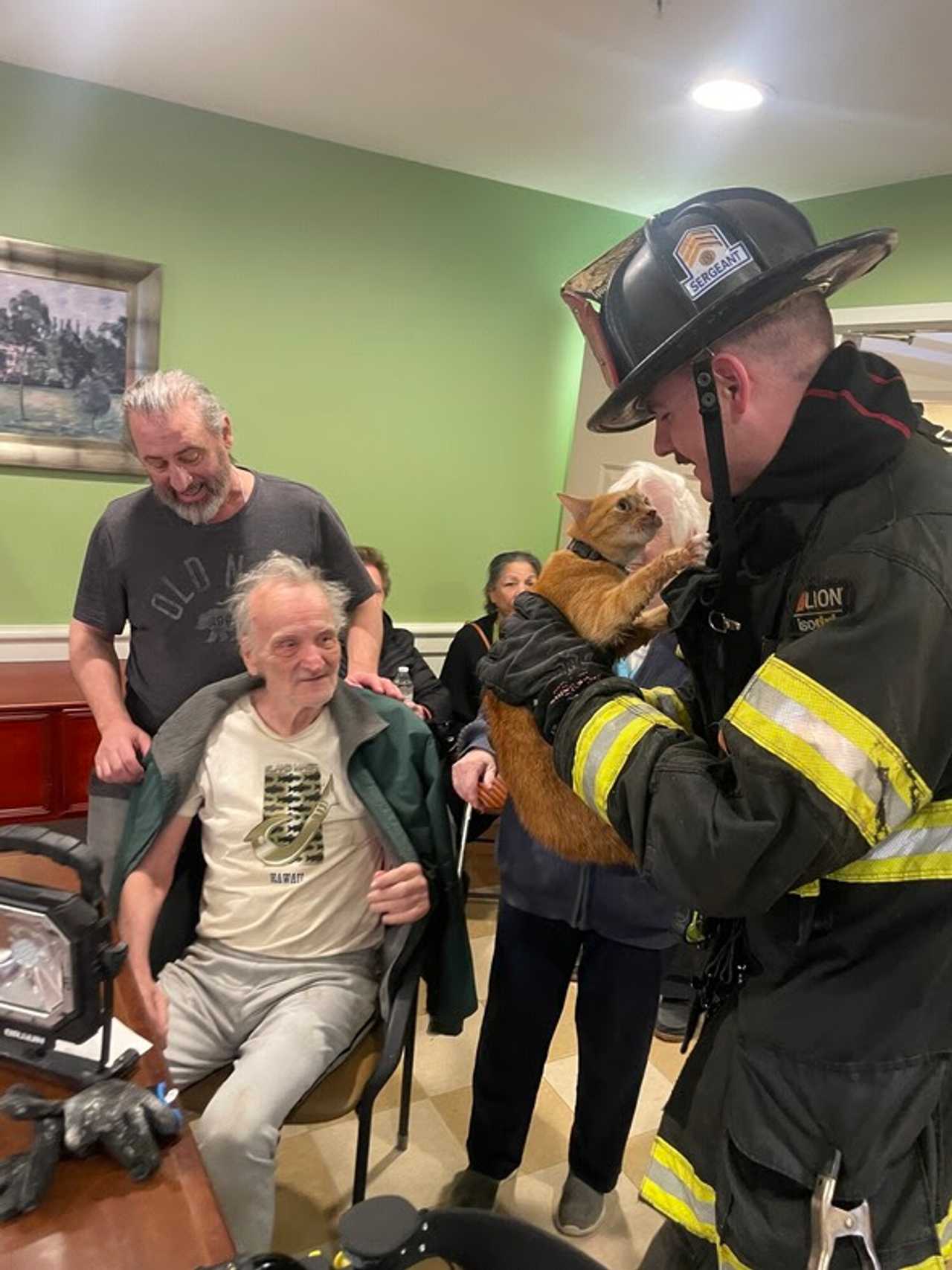 Sprinklers Save Senior Condo Complex, Cat Reunited With Owner After ... Sprinklers Save Senior Condo Complex, Cat Reunited With Owner After ...