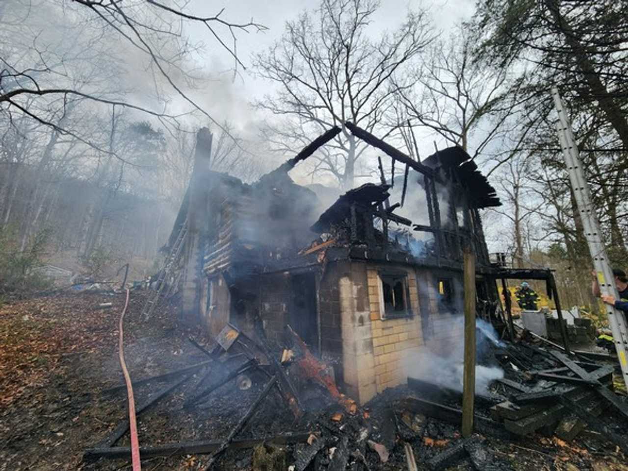 12 Dogs Die In Maryland House Fire Sparked By Power Strip, Officials ...